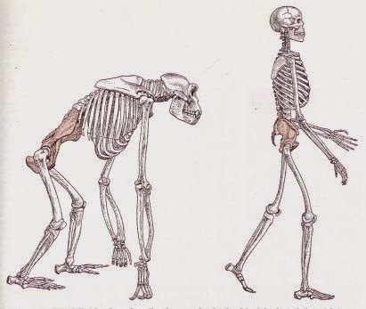 Bond w/ James: February 2015