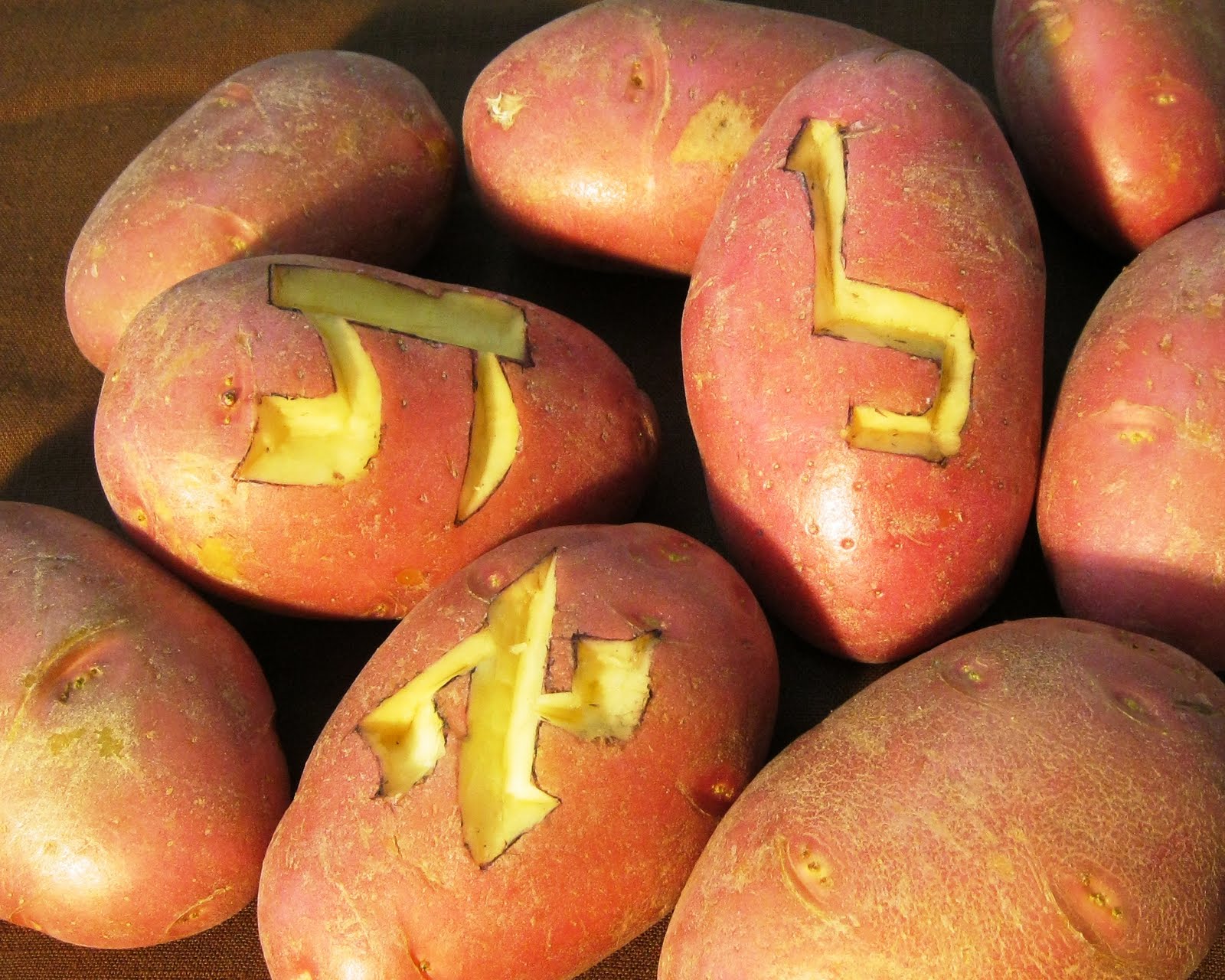 Bible Blog Your Life : Leviticus 11: All the Torah in a Potato