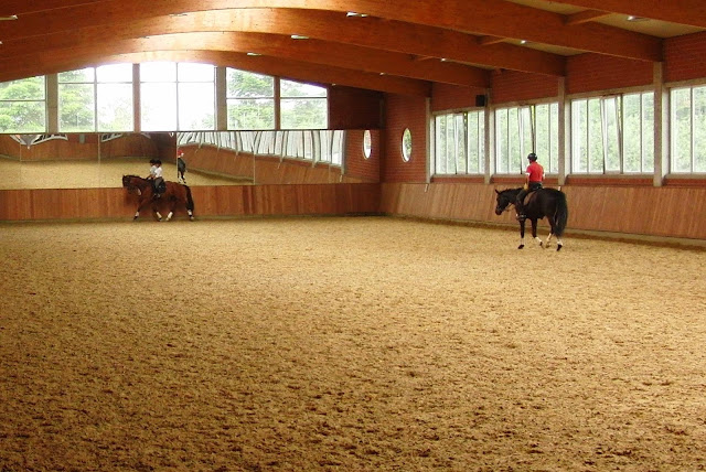 Horses For Courses: 3 Equine Careers - Dressage Hafl
