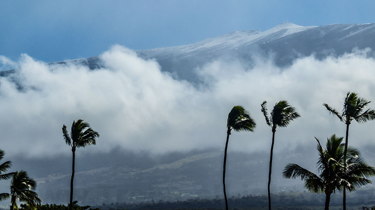 The Adventures of Maui Don - Dolphin Dude: Rare Snowstorm on Maui