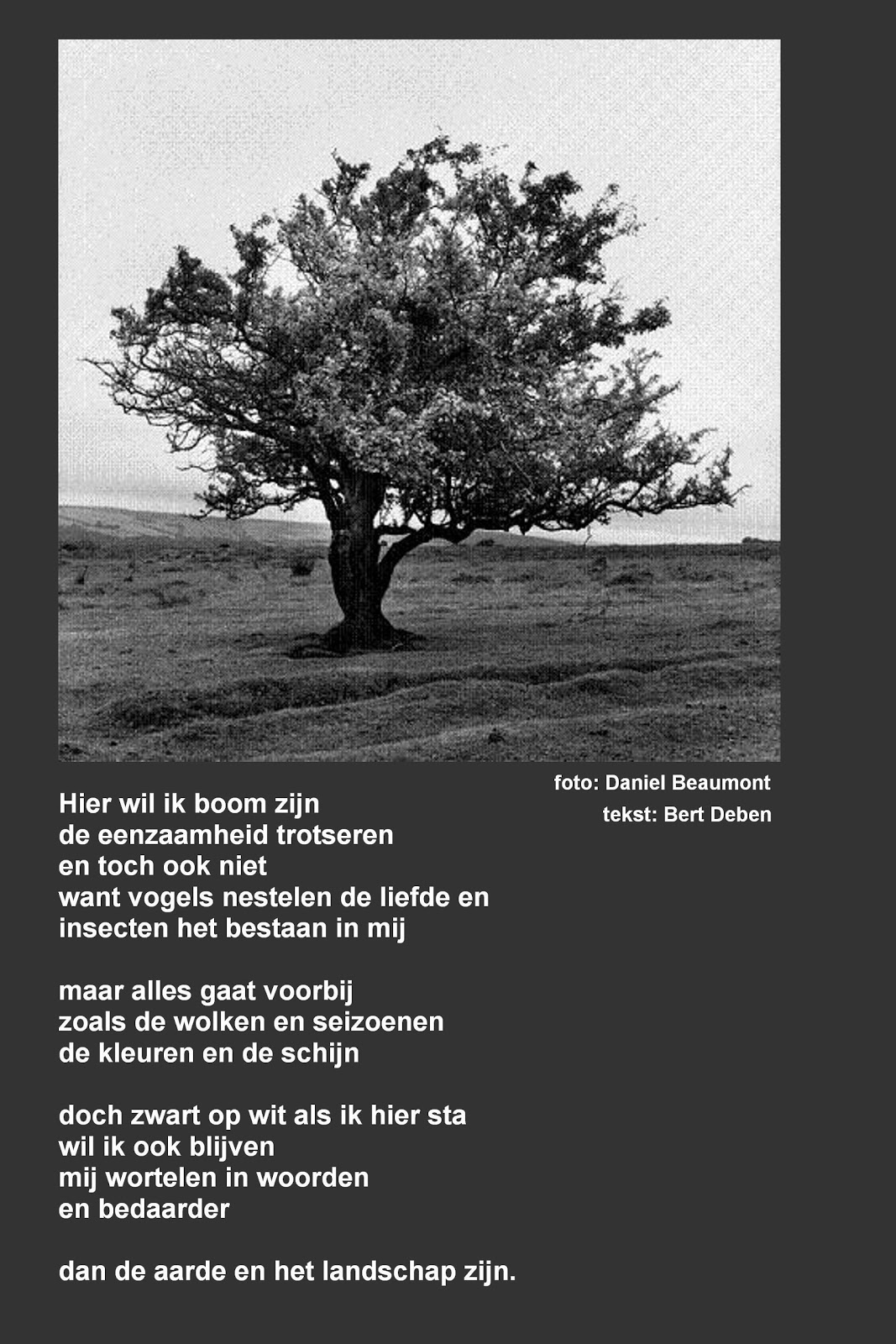leven in poëzie: Hier wil ik boom zijn