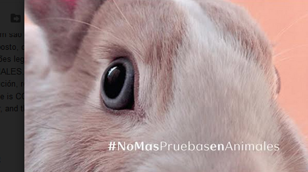 Natura recibe la certificación de Cruelty Free International contra las ...