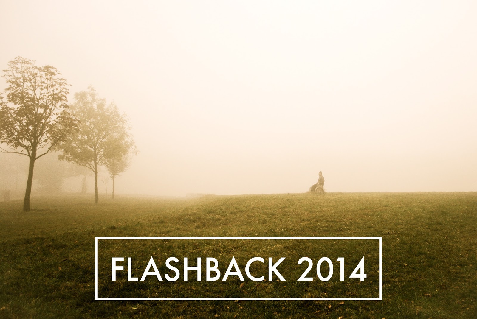 Flashback 2014 - Dogdays of Summer Blog