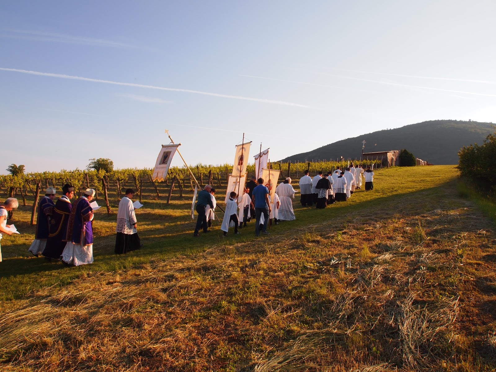 New Liturgical Movement: A Rogation Procession and Mass in Hungary