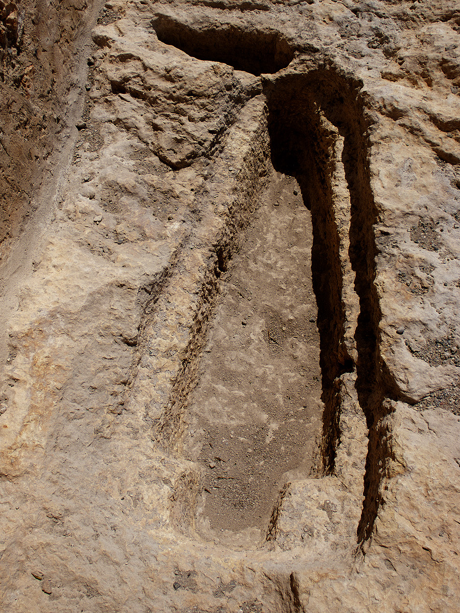 Proyecto Mauranus: agosto 2012