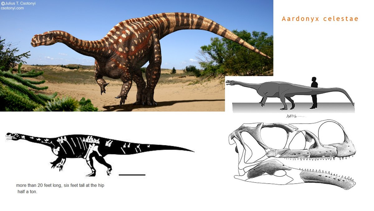 Geo Mestrepedia: AARDONYX - UNIVERSO DE TITANS
