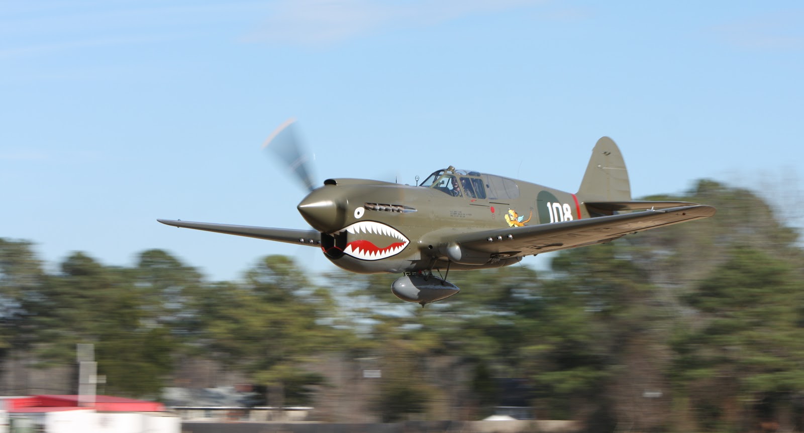 A Born Again Roman: Curtiss P-40 Tomahawk