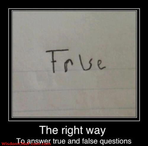 TEKKIE TONIC HTS WELKOM True And False Questions tekkie-tonic-hts-welkom-true-and-false-questions