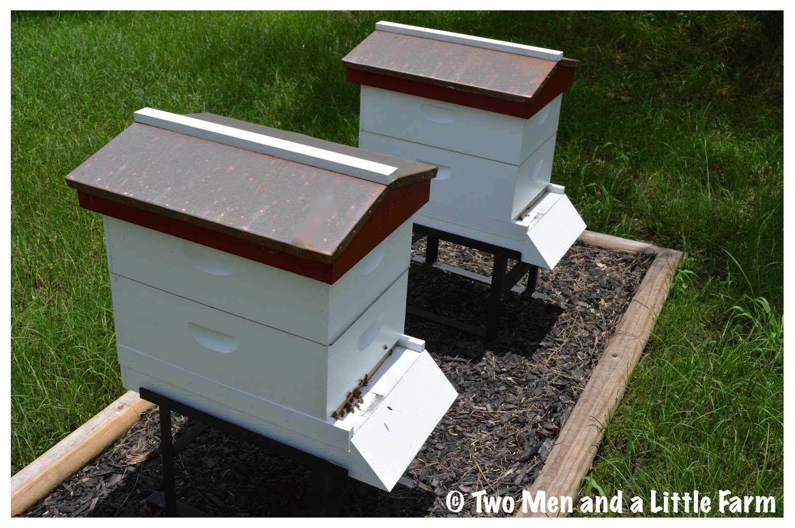 Two Men and a Little Farm: BEEHIVE CHECKUP DAY
