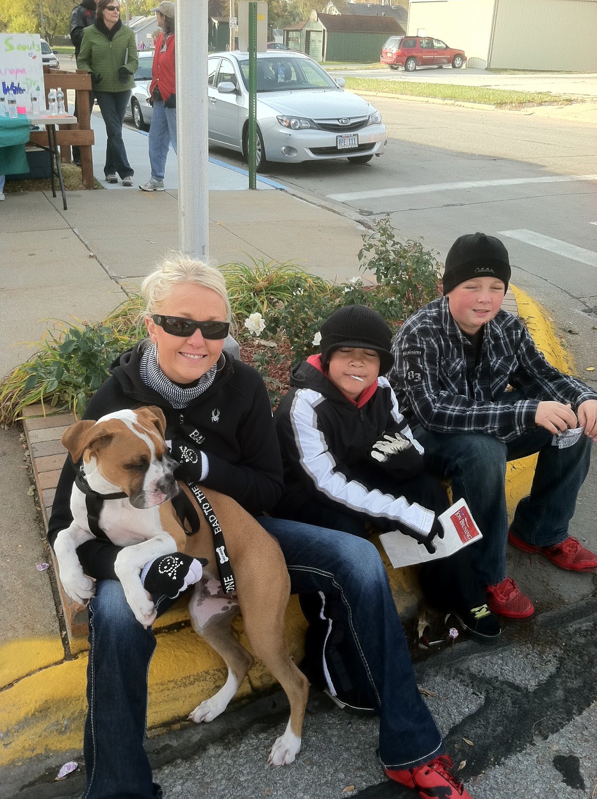 MinettesMaze: Meet our Furry Children!