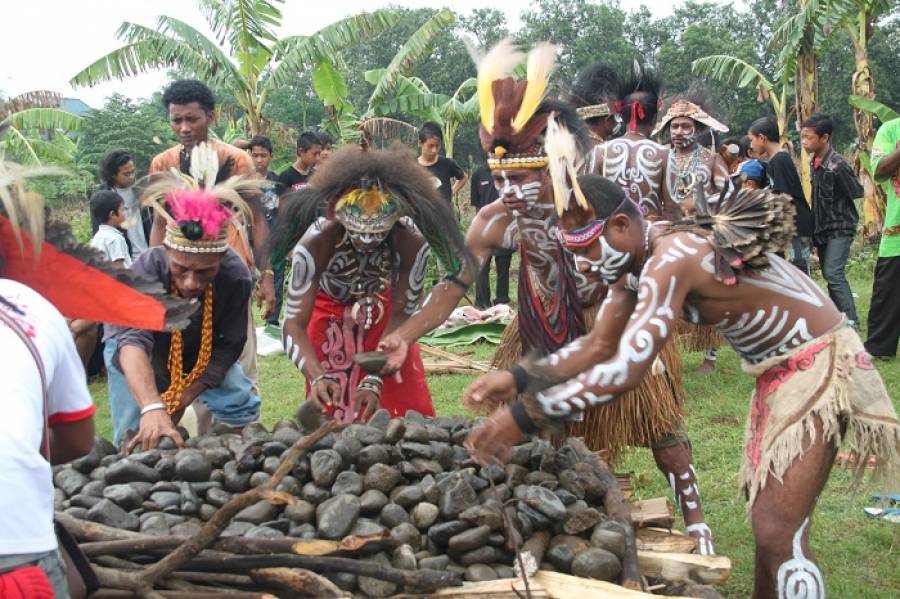 Bakar Batu, Tradis Kebersamaan Masyarakat Papua | HORIZON BUDAYA
