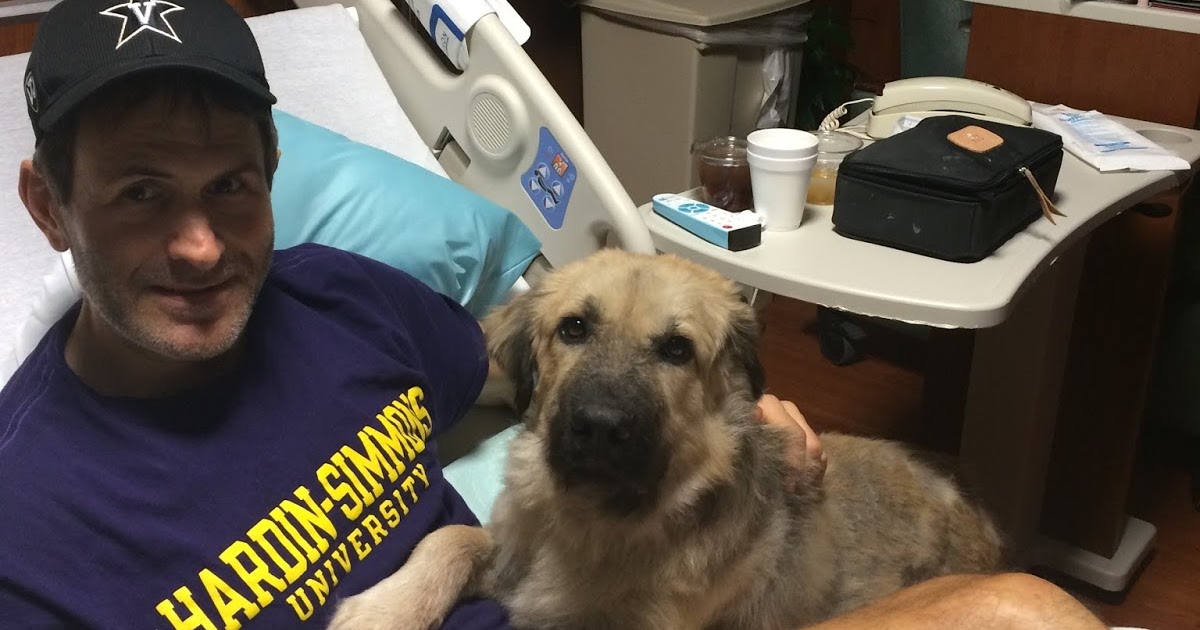 Texas Orthopedics: Dr. Savage Shares Cycling Accident Experience with ...