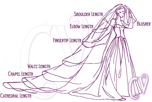 Different Types Of Veil | Animated Wedding Invitation