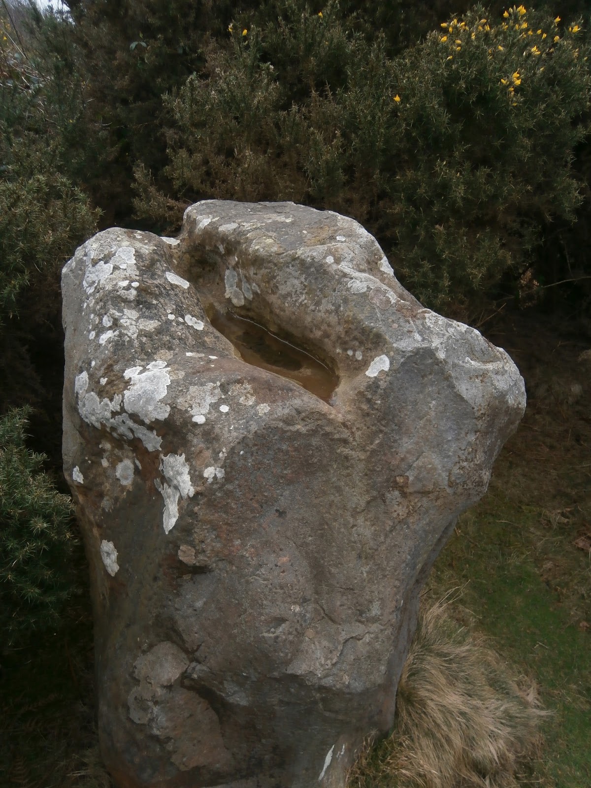 Corfu Blues and Global Views: The Devil's Stone, and Bere Regis Church