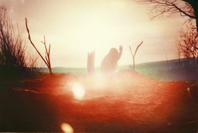 Appendage: Alison Scarpulla - Photography