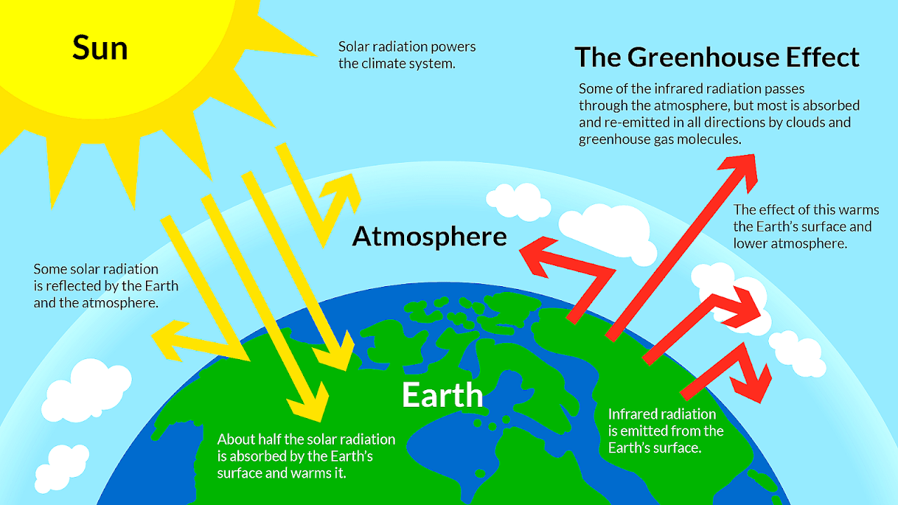 What Does The Greenhouse Effect Do Effect Choices