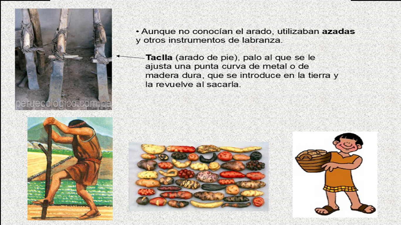 CIENCIAS SOCIALES (Historia del Ecuador): Organizacion Politica Inca y ...