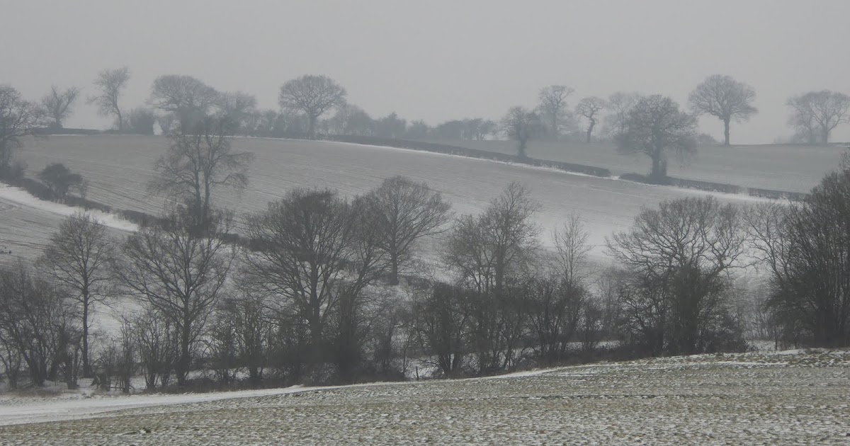 Hill Farm: A monotone landscape