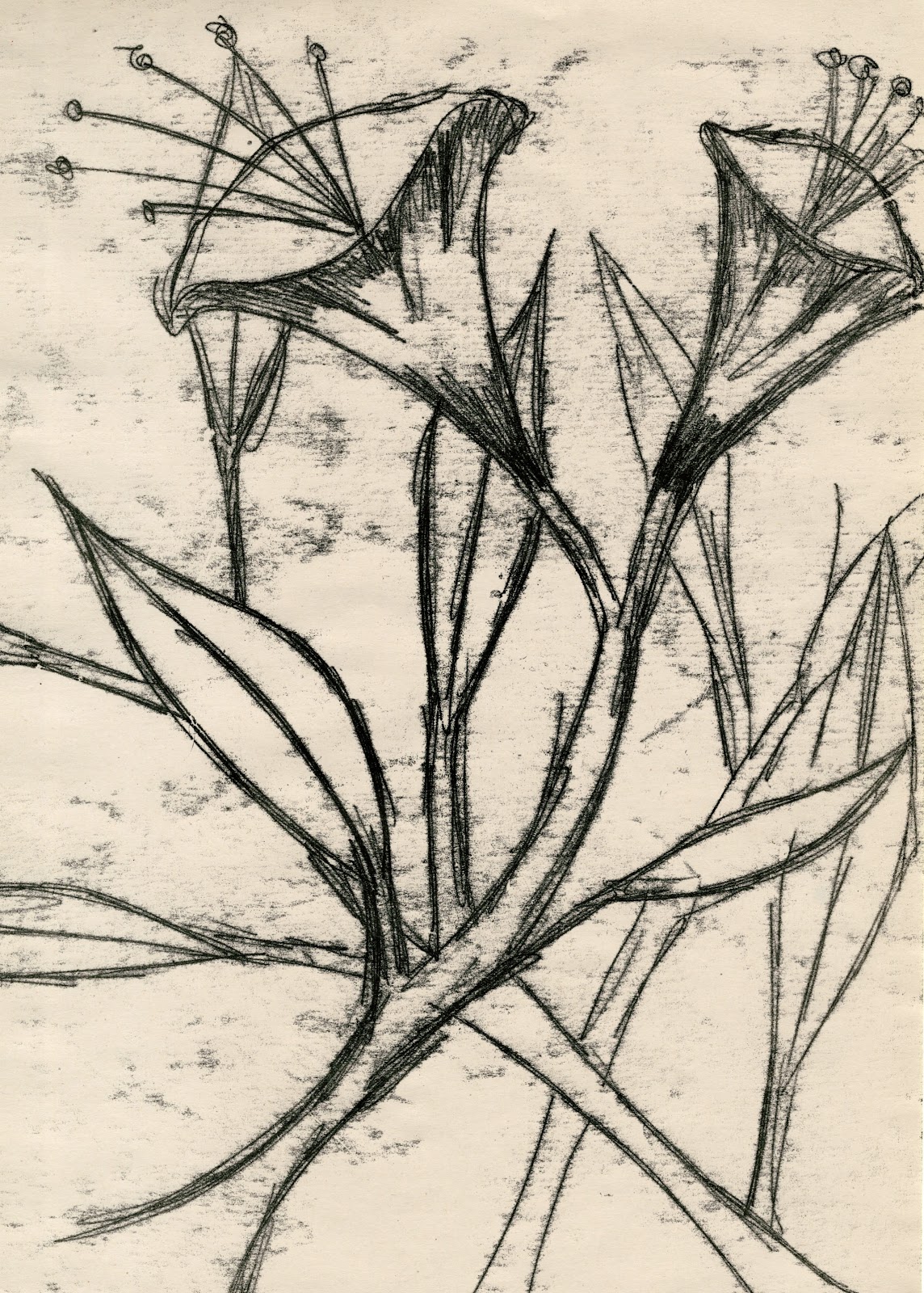 Josie Maskell Design: flower monoprints