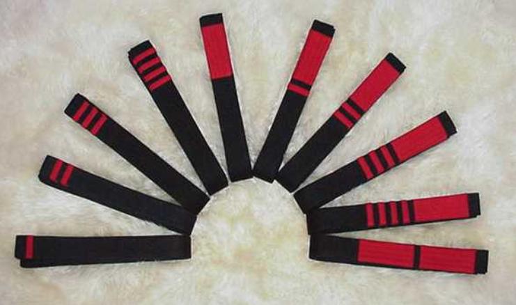 The duan wei tai chi qualification system | Spiralwise - Tai chi from a ...