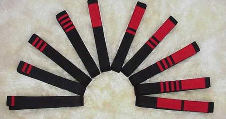 The duan wei tai chi qualification system | Spiralwise - Tai chi from a ...