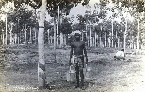 Aku Budak Telok: Gagak, Estet di Klang dan Telok