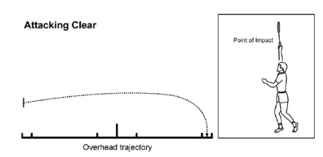 Skill Development and Biomechanics