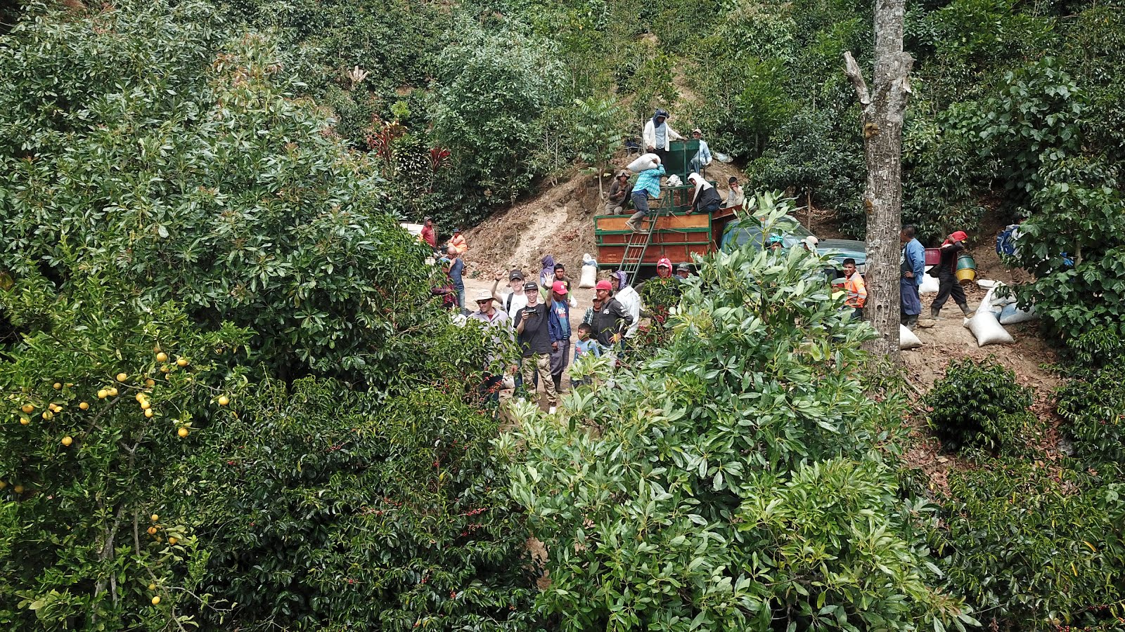 Monte Copey, Costa Rica.
