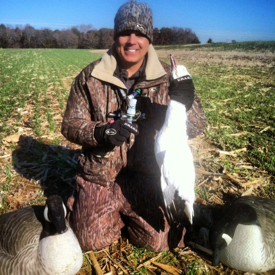Lowcountry outdoors: Snow Geese Show Up in South Carolina
