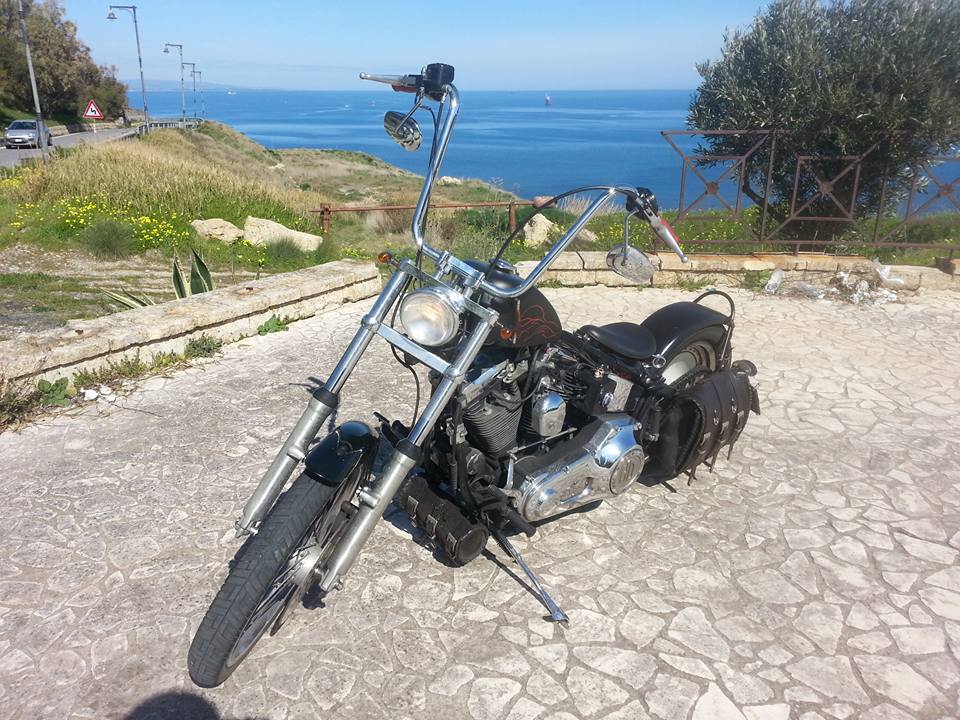 Custom Harley Davidson Parts: Demon's Cycle Customer Motorcycle Pics ...