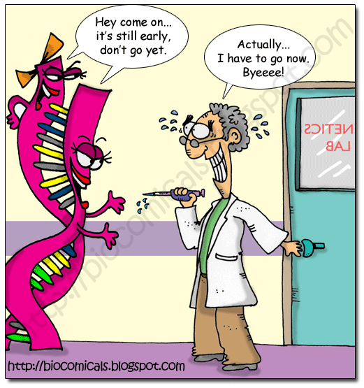 Dna Sequencing Cartoon