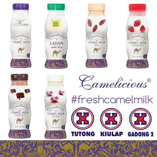 Camelicious Brunei: Camelicious fresh camel milk - Now in stock - 22nd ...