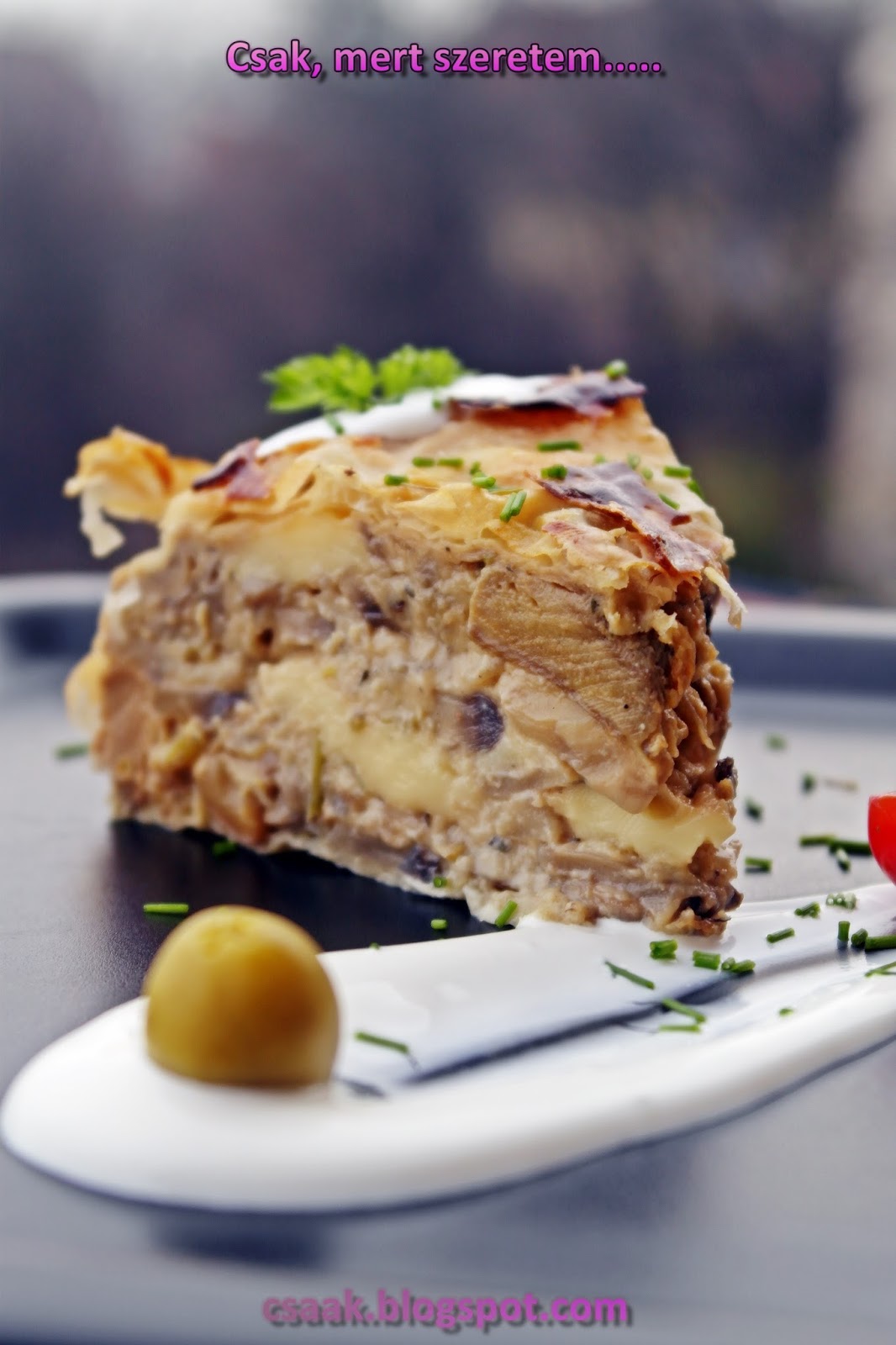 Csak, mert szeretem... kreatív gasztroblog: GOMBA FANATIKUS PITE ...