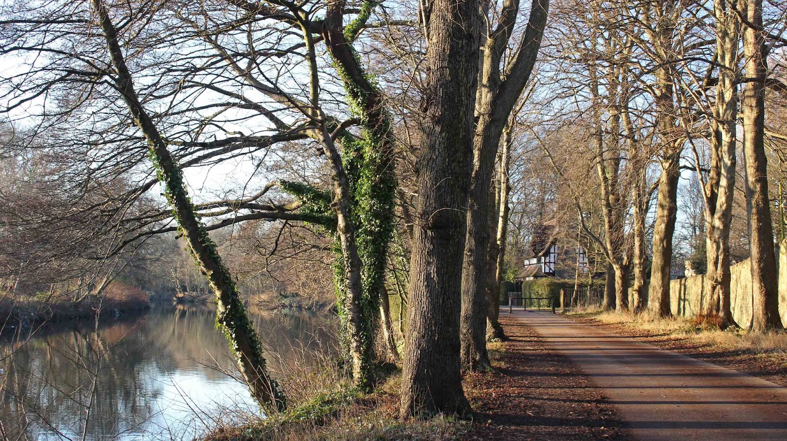 sconzani: Cardiff: Gabalfa Lodge