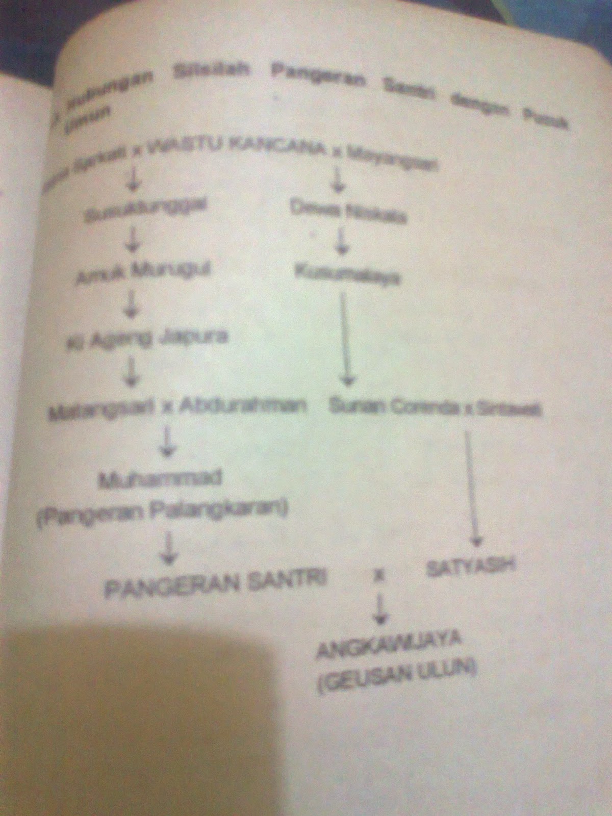 PS PARTISAN SILIWANGI 1922: Silsilah Raja Raja Tatar Sunda