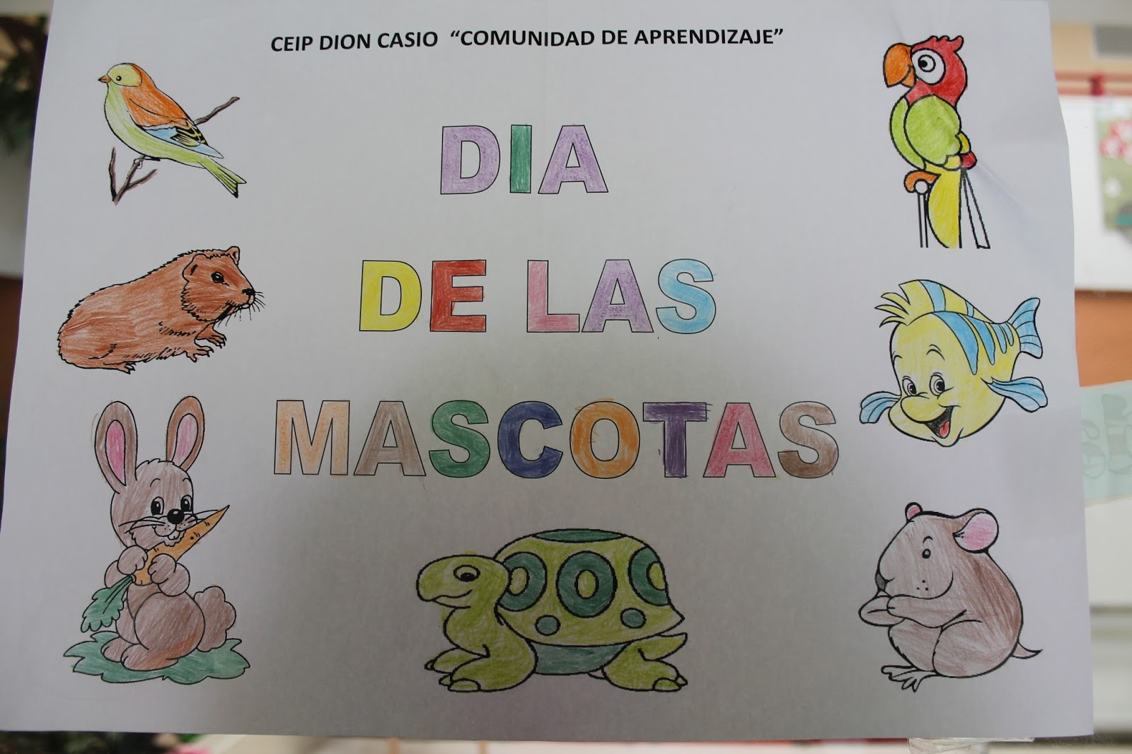 CEIP DION CASIO: DÍA DE LAS MASCOTAS