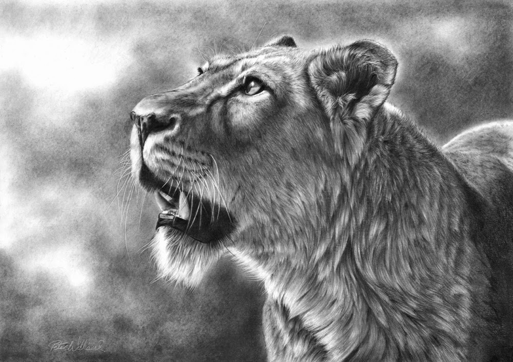 Design Stack: A Blog about Art, Design and Architecture: Hyper ...