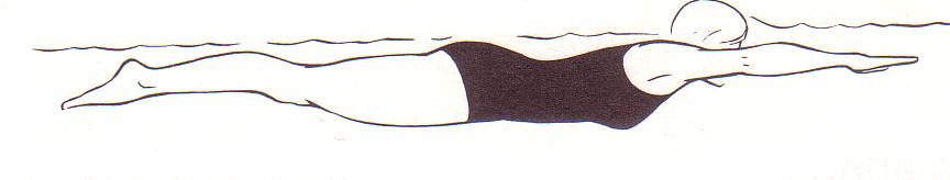 Swimming-Synergy ....: 11 / Legile mecanicii evocate la inot