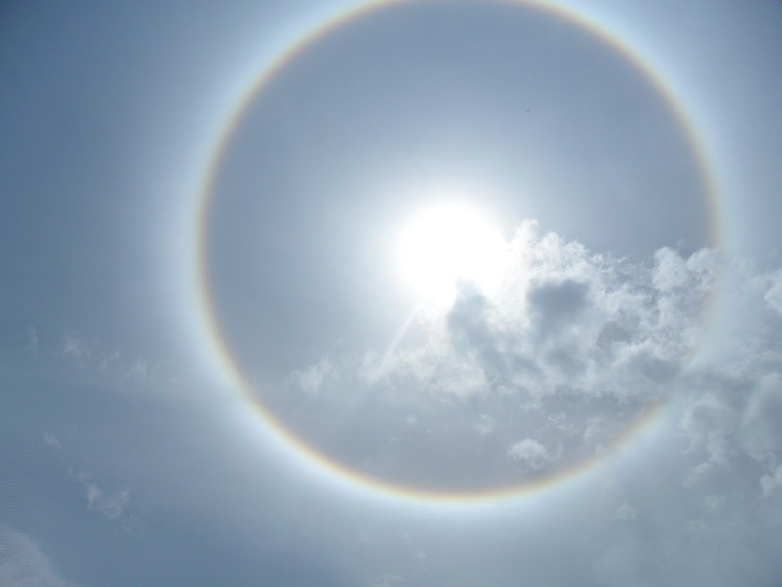 Remanescente de Sião: circulo em volta do sol