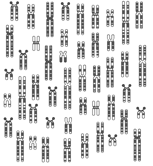 CIENCIAS JPL: CARIOGRAMAS: ESTUDIO DE CASOS