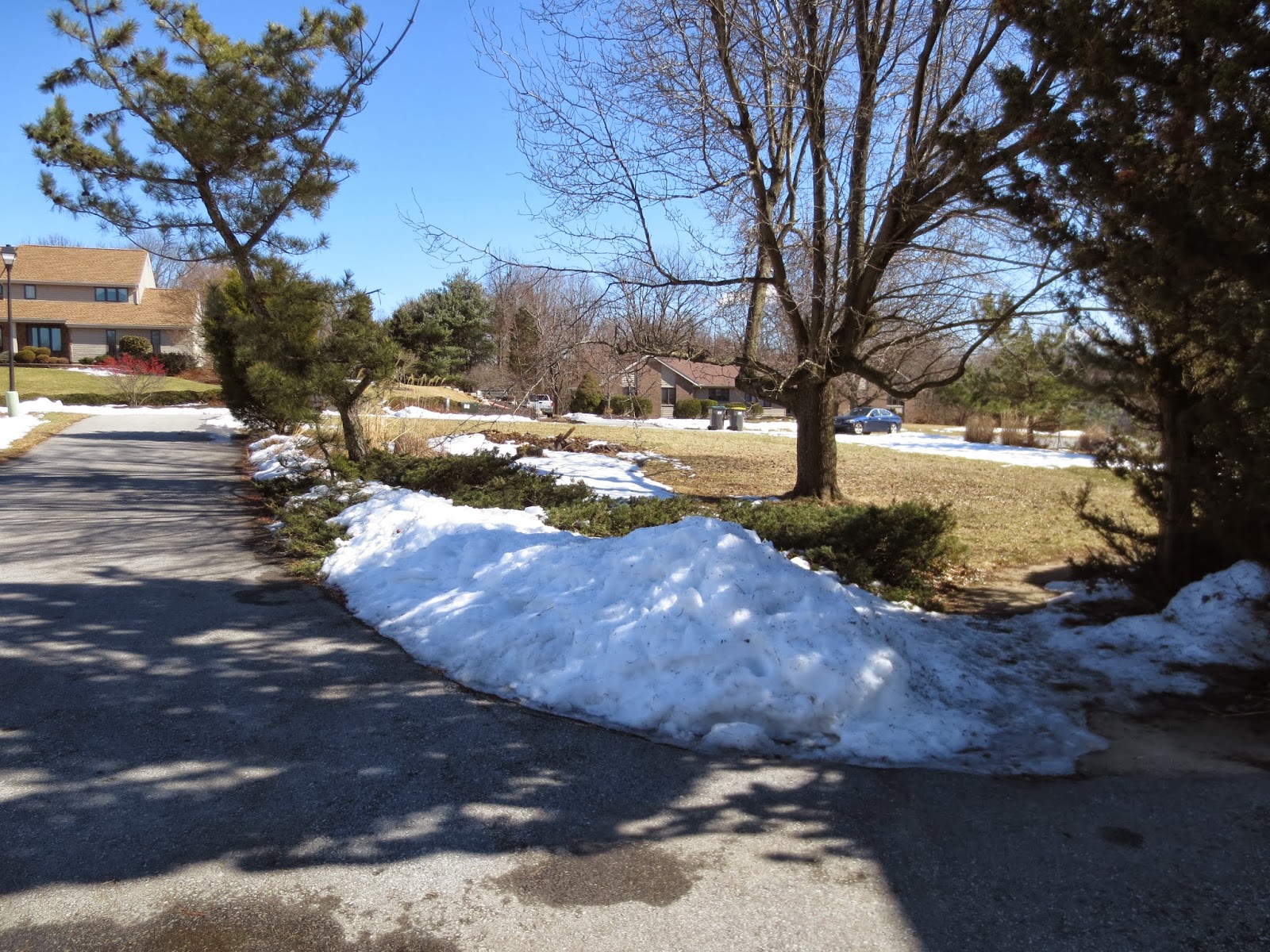 Book By Book: Snapshot Saturday 3/8