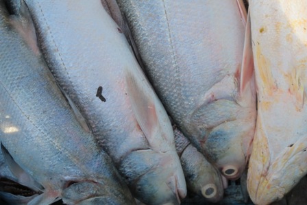 Sarawakiana@2: Nang Chong Stories The Merlin of Nang Chong and the ...