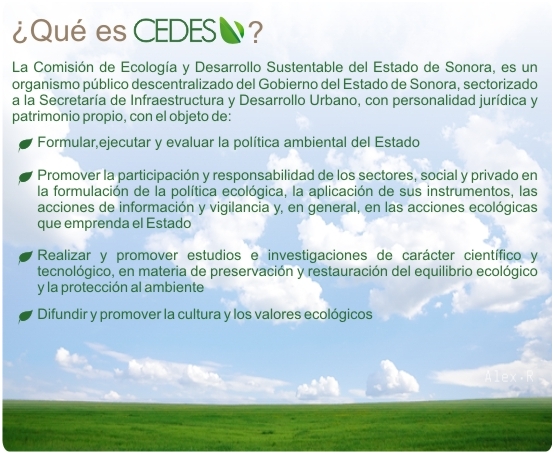 Revista Hillo... Soy!: CEDES