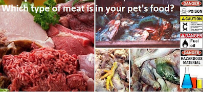 Does Your Dog and Cat's Food or Treats Contain Health Destroying ...