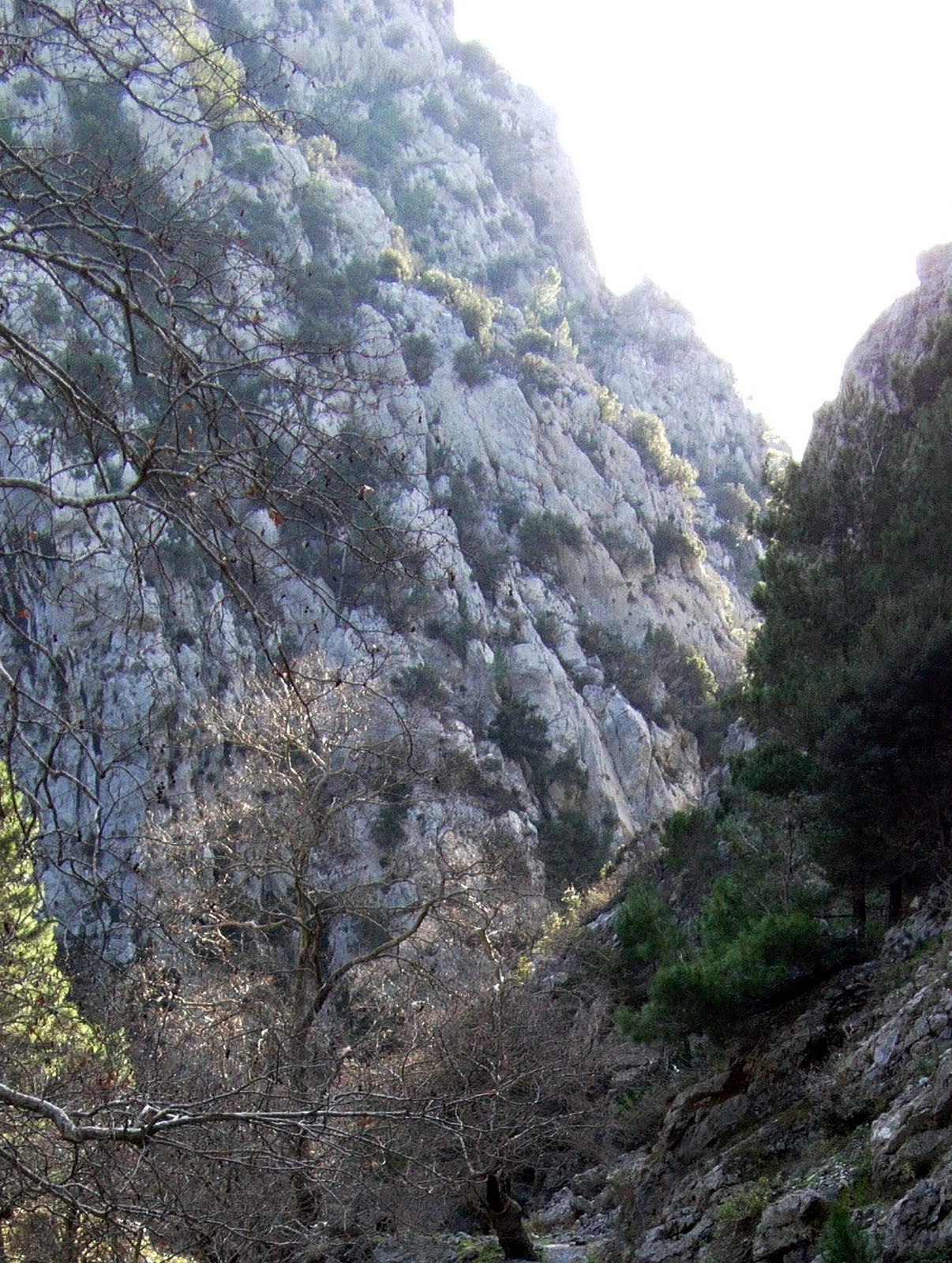ΜΑΘΗΤΙΚΗ ΠΑΡΡΗΣΙΑ: ΣΤΟ ΦΑΡΑΓΓΙ ΤΗΣ ΑΓΑΛΗΣ