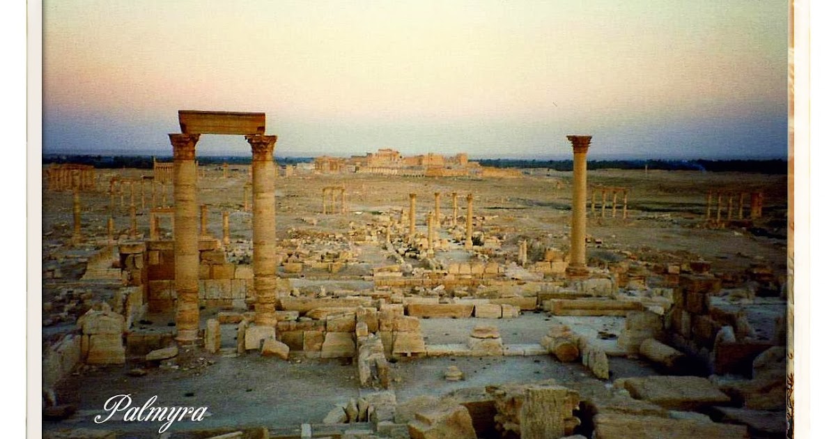 ¿Y allí que hay?: Encuentro en Palmira