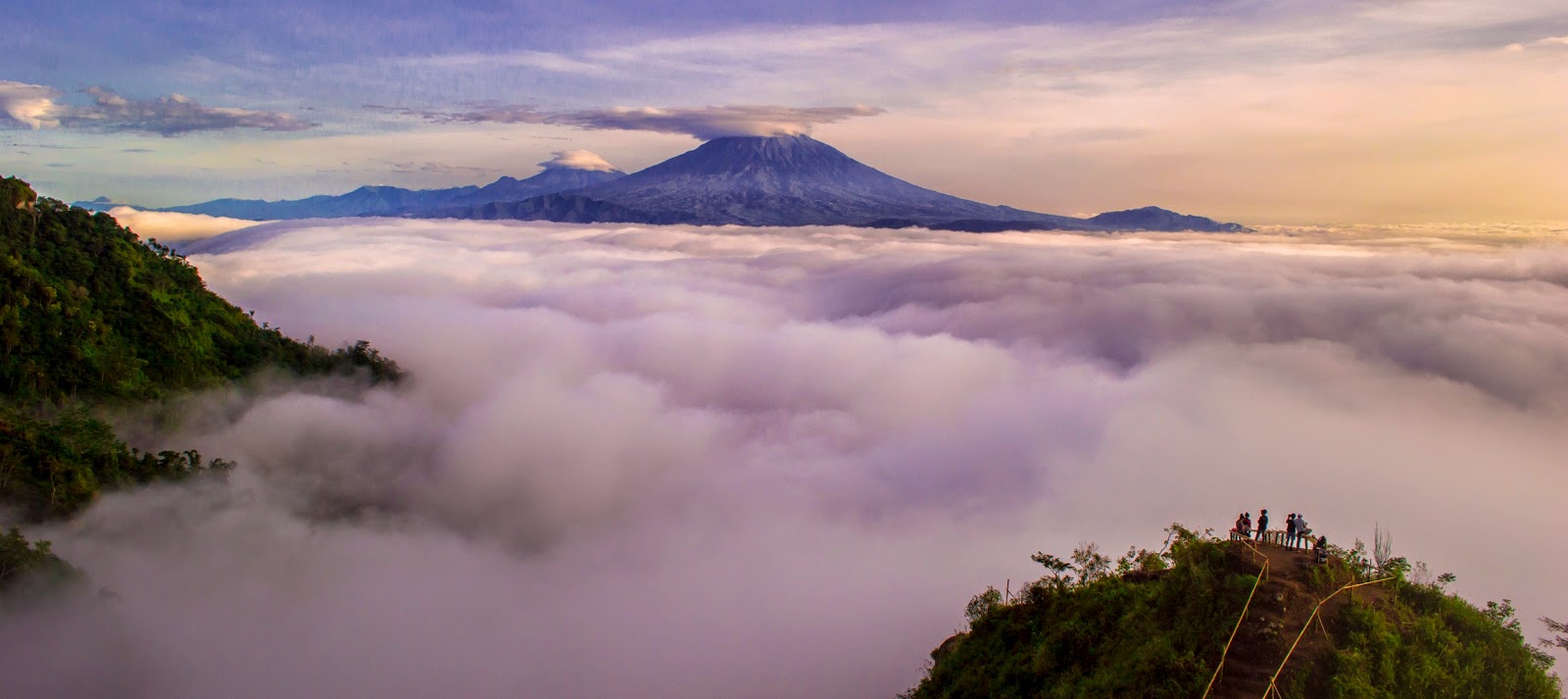 Puncak Kendeng dan Kebun Teh Nglinggo, Samigaluh, Kulon Progo - MANDRA ...