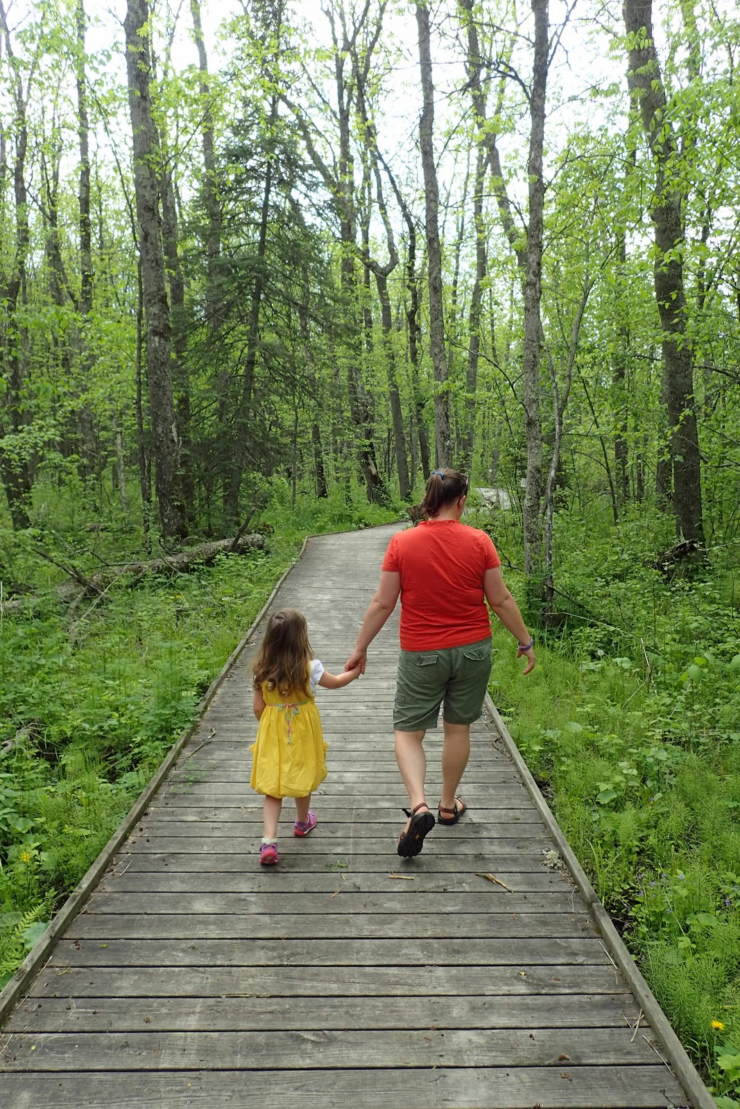 The Continuing Adventures of Eric, Noelle and Sierra: Orr Bog Walk