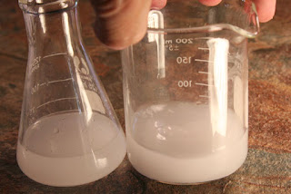 NFNF2213 PEMBANGUNAN PRODUK FARMASEUTIKAL I : Lab 1 : SUSPENSION