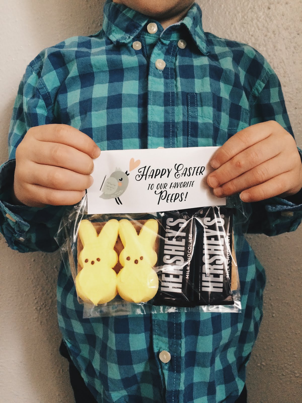 honeysuckle: Make a Peeps S'mores Kit + Free Printable